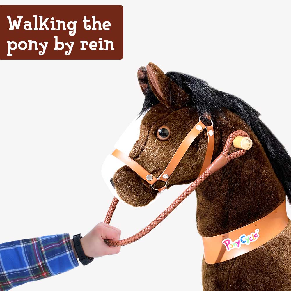 Rêne Rose – PonyCycle EU Official Store